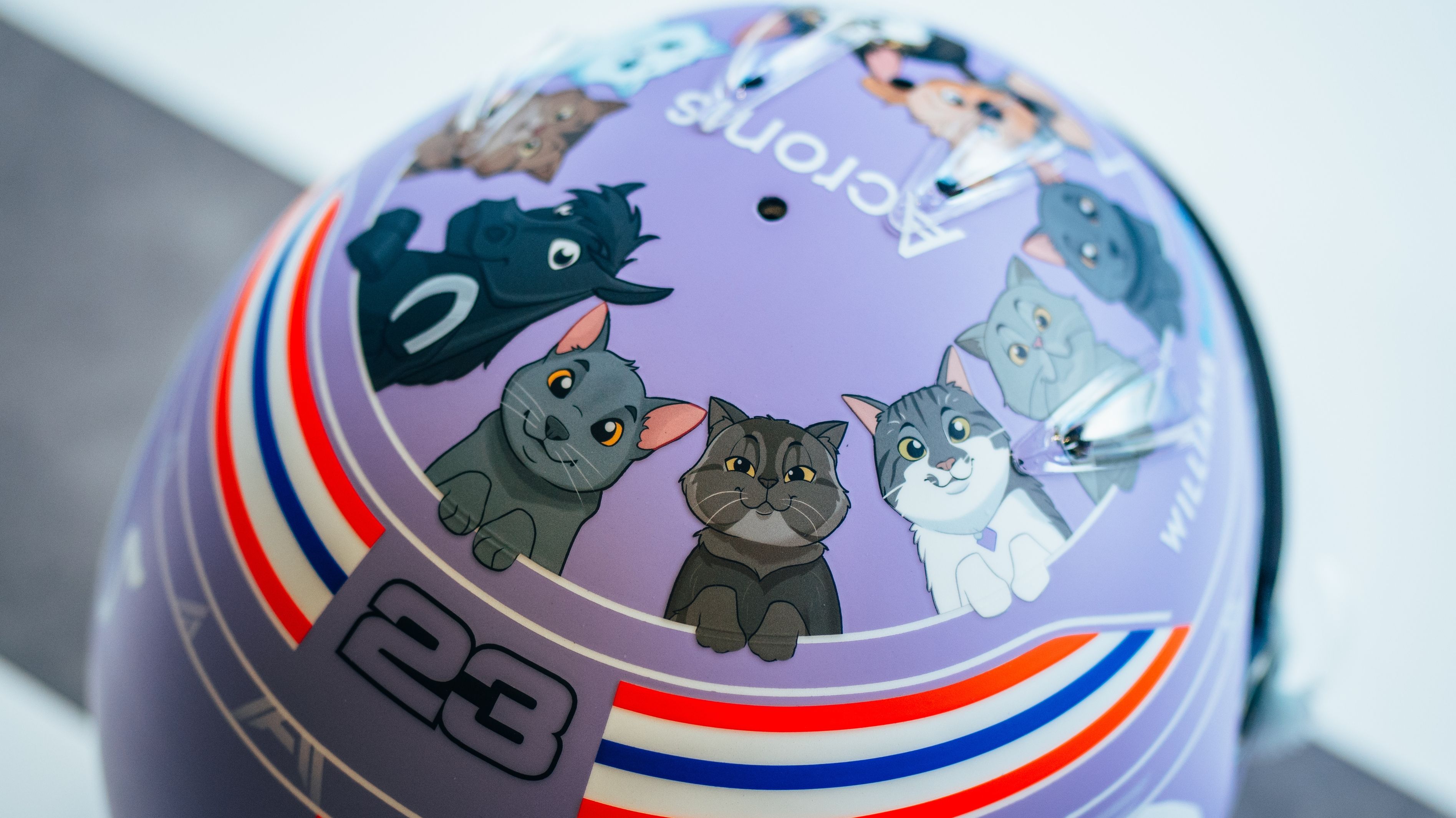 Everything you need to know about Albon Pets! | Atlassian Williams Racing